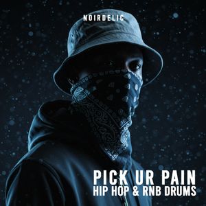 Download Premium & Free RnB Sample Packs! | r-loops.com