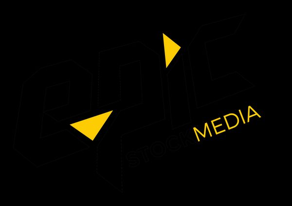Epic Stock Media - Sample Packs, Loops & Plugins | r-loops.com