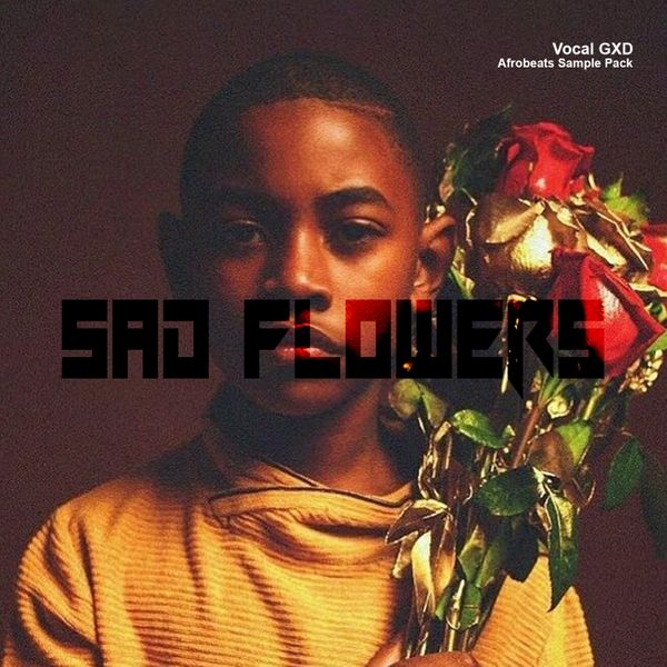 VOCAL GXD - Sad Flowers: Afrobeats Sample Pack - Royalty-Free Samples ...