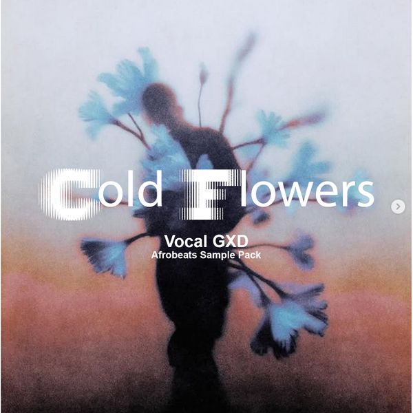 VOCAL GXD - Cold Flowers: Afrobeats Sample Pack - Royalty-Free Samples ...
