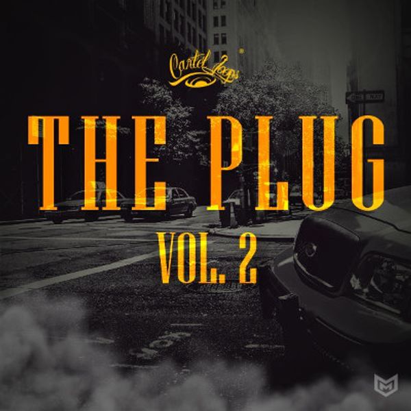 Cartel Loops - The Plug 2 - Royalty-Free Samples | r-loops.com